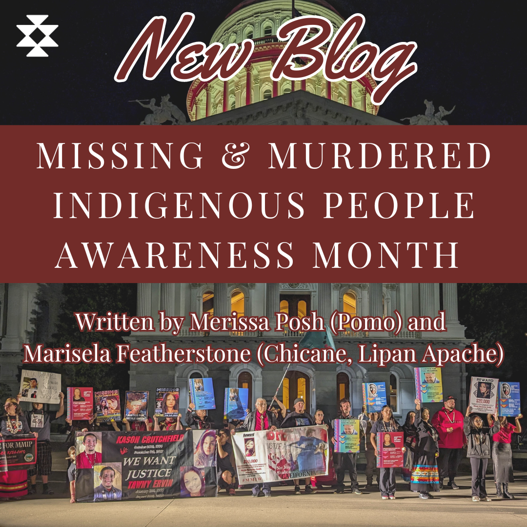 Missing & Murdered Indigenous People Awareness Month (MMIP ...